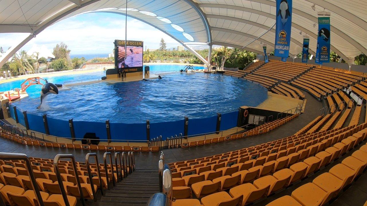Loro Parque bids farewell to 2020 by celebrating its 48th anniversary ...
